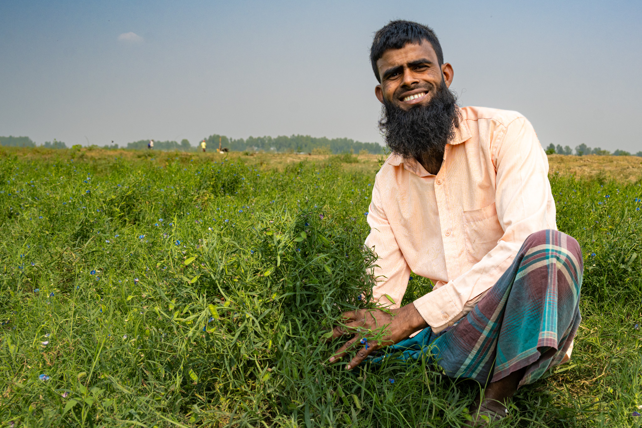 Breaking the Stigma of Grasspea in South Asia - Crop Trust